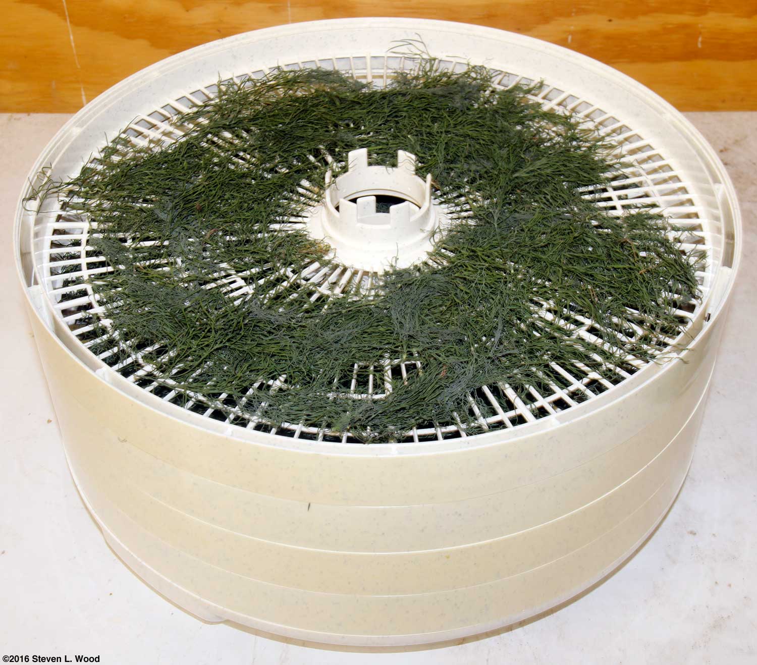 Senior Gardening: One of the Joys of Maturity