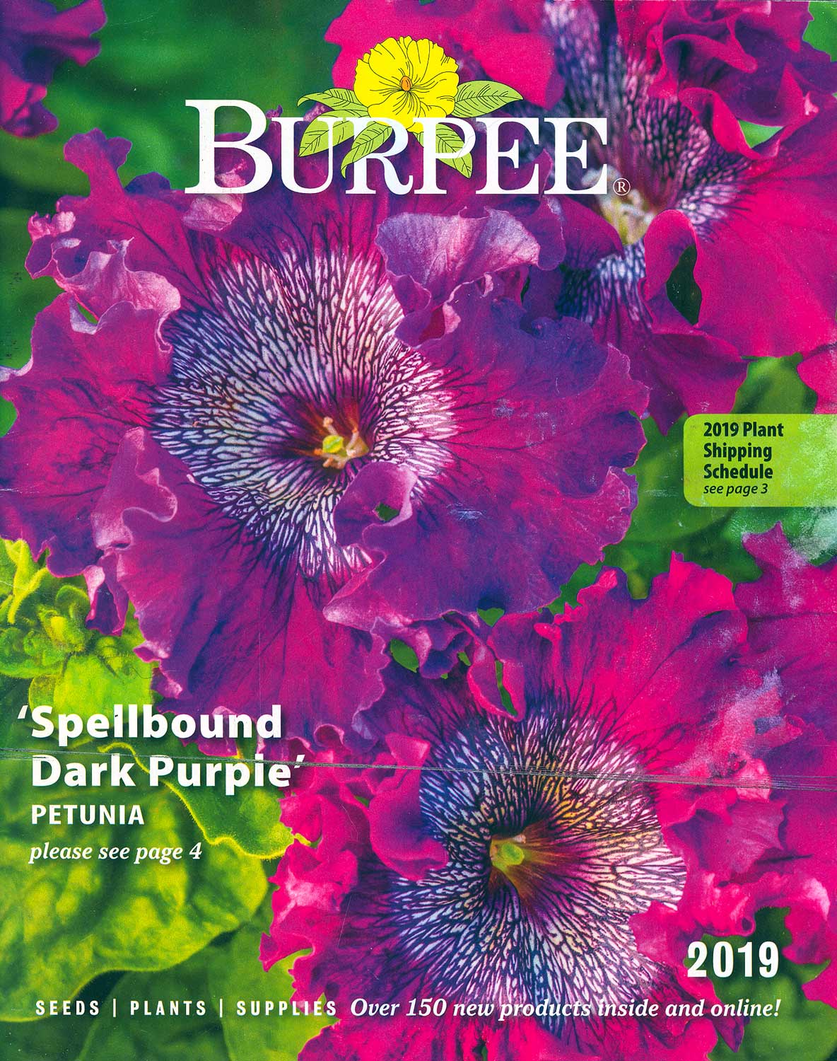 The Old Guy's Garden Blog - January, 2019